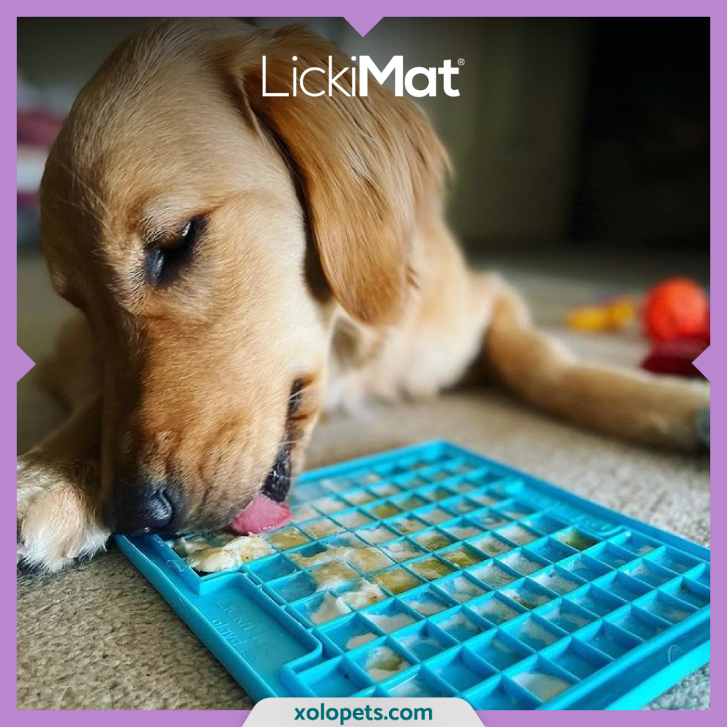 LickiMat® Playdate™ – XOLO Pets