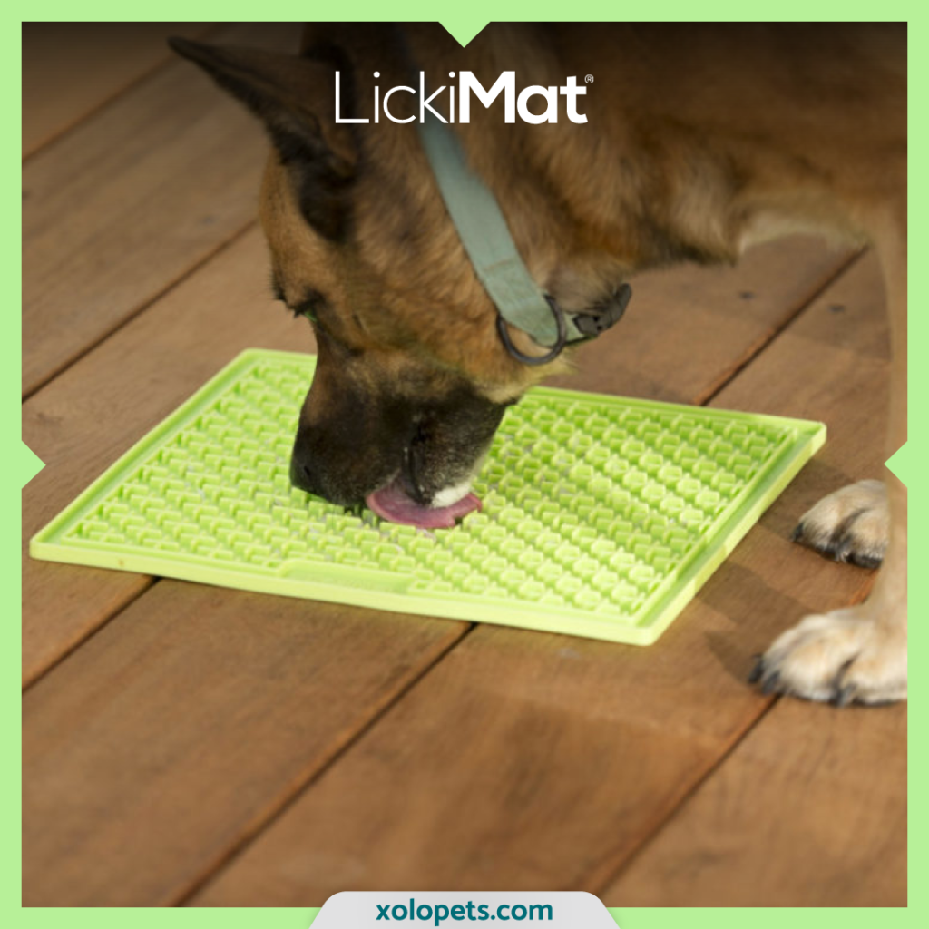 LickiMat® Buddy™ XL – XOLO Pets